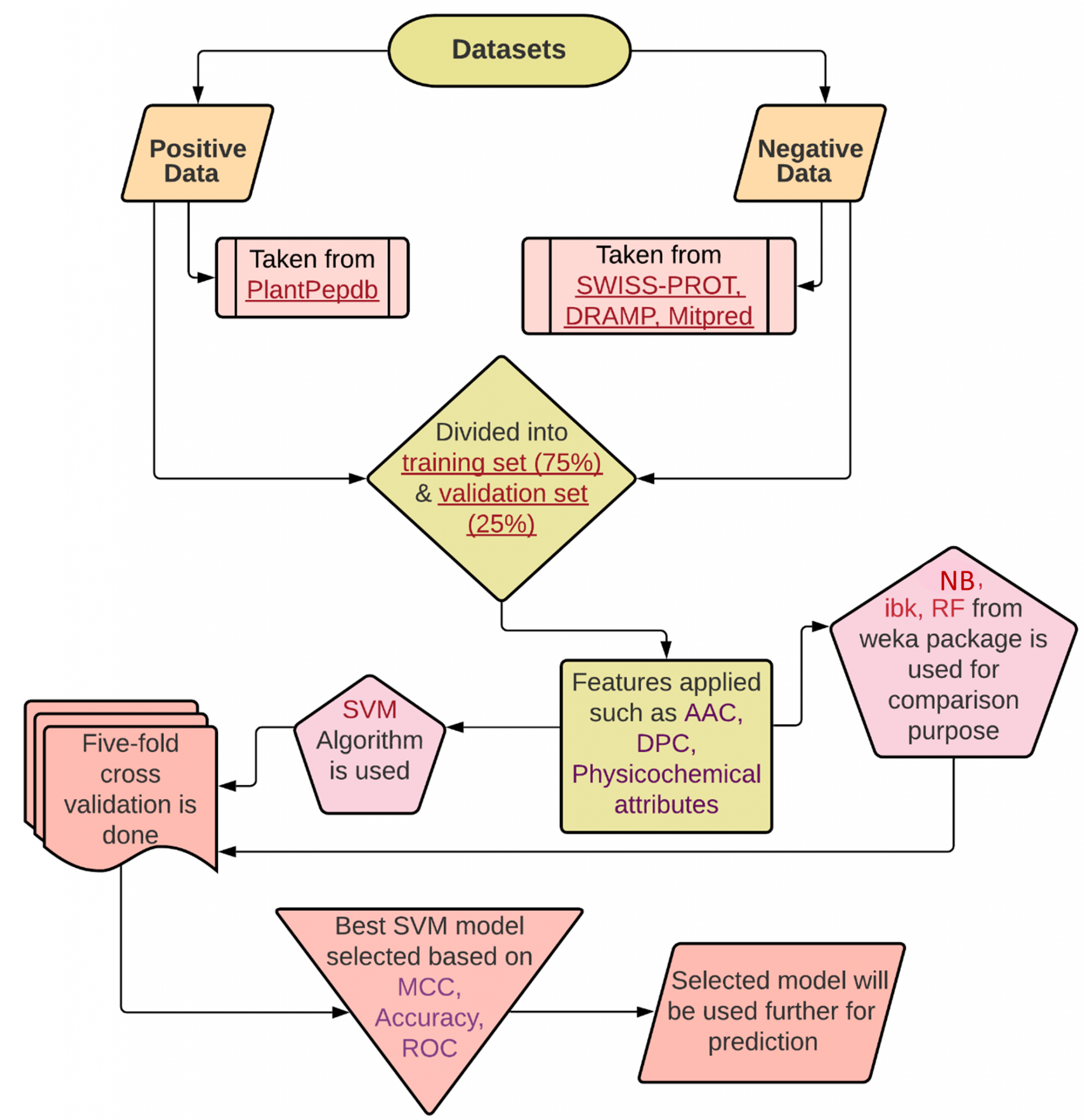 overview_nipgr