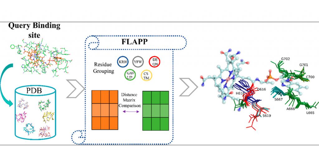 overview_iicb – Organized by the Translational Bioinformatics Group ...